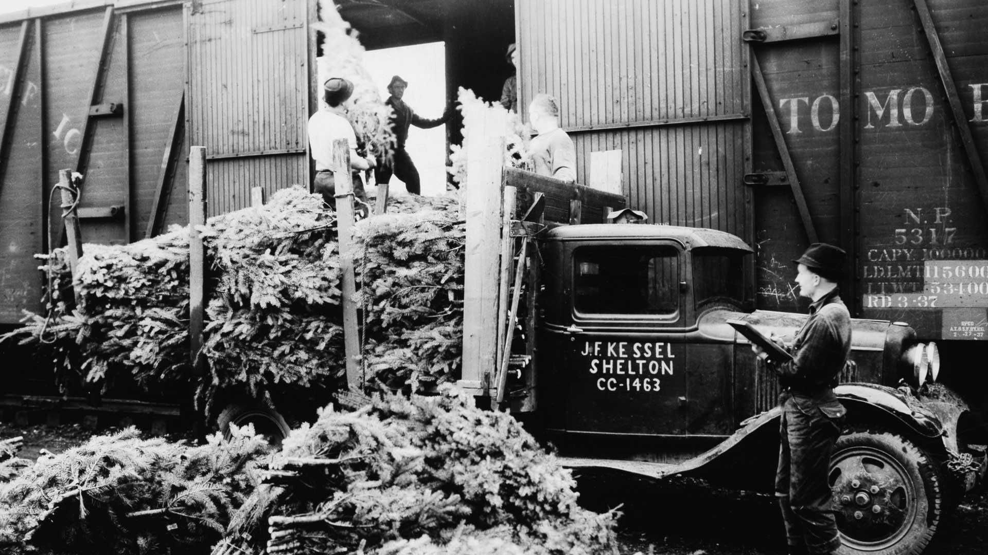 Logistics Of Christmas Tree Shipping | Zmodal: Digital Intermodal ...